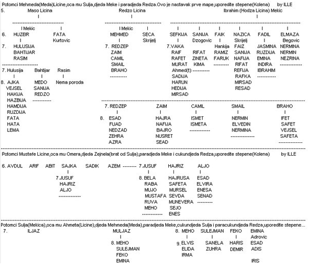 Porodično stablo – Bratstvo-Ličina
